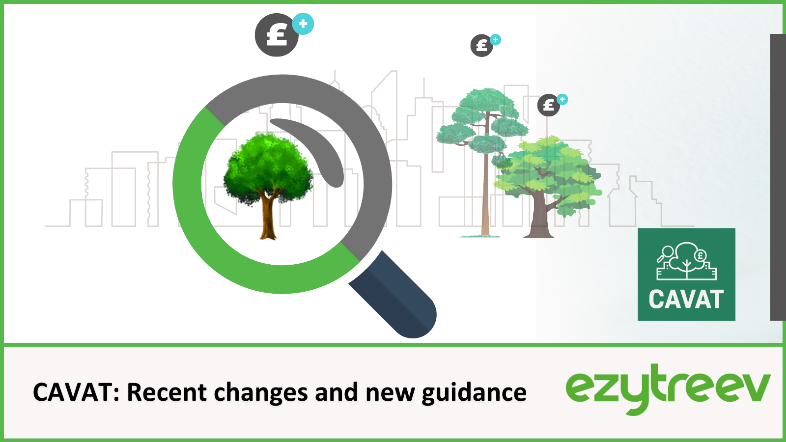 CAVAT: Recent changes and new guidance - RA Information Systems